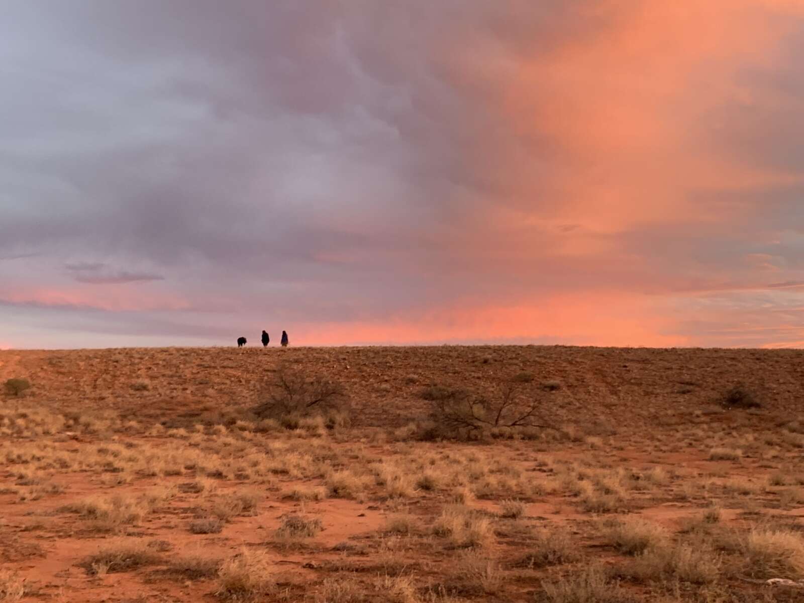 A small story from Aputula - NPY Women's Council