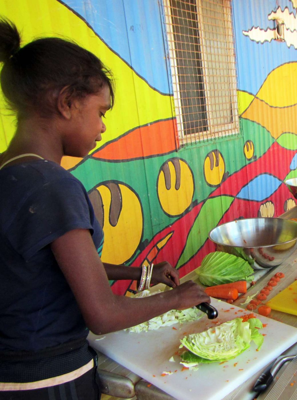 An exciting new project investigating food security in the APY lands ...