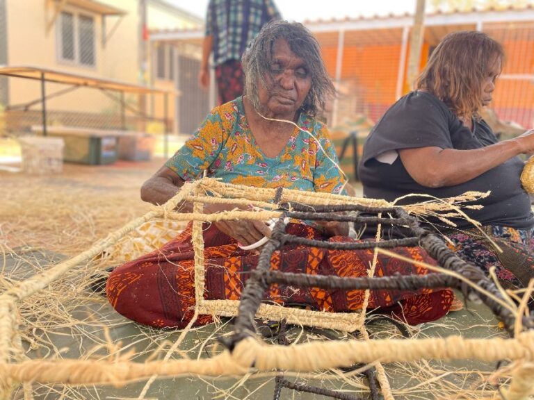 Tjanpi Desert Weavers honour the Bush Bus - NPY Women's Council